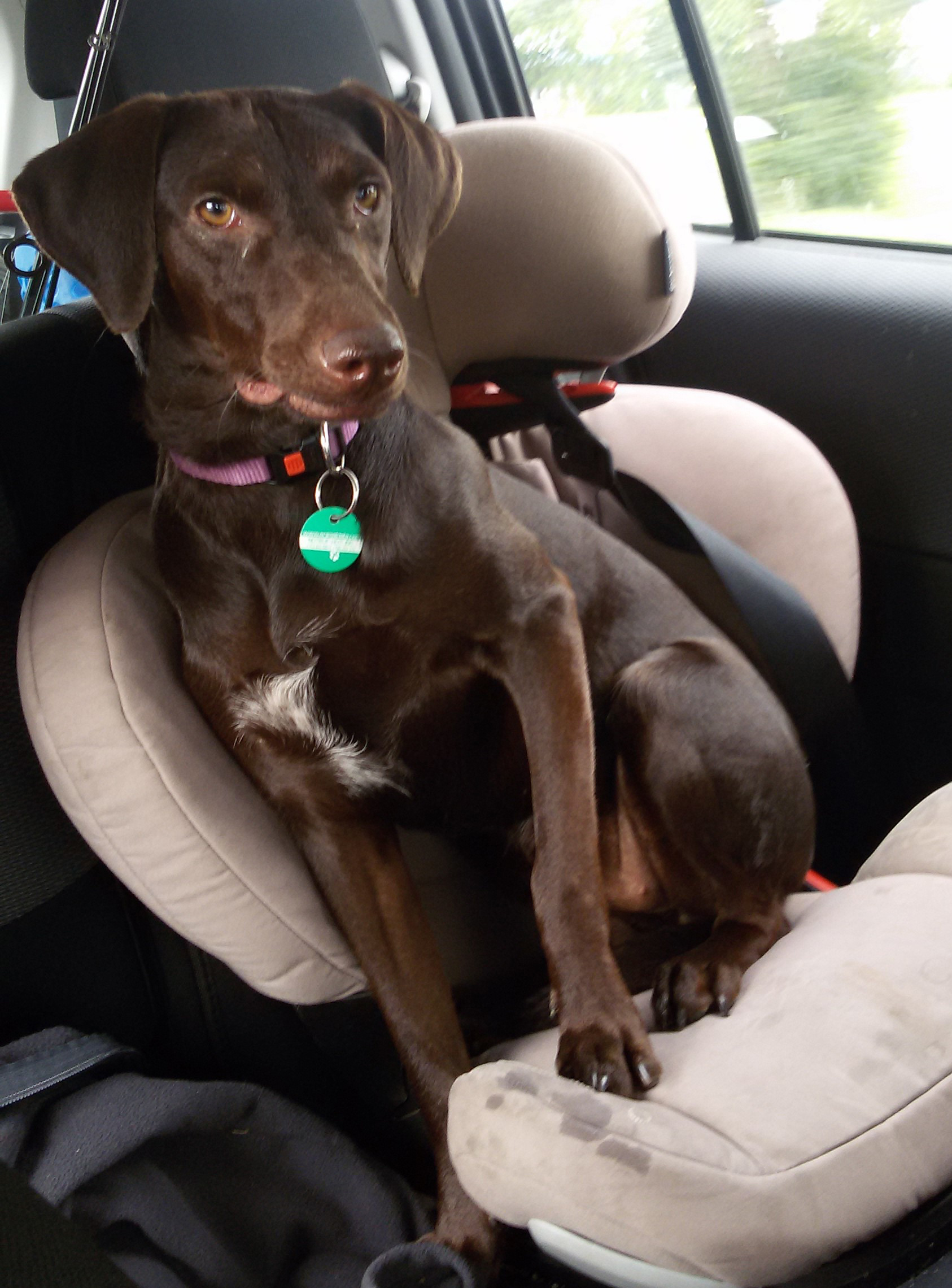 Mabel | Animal Care Austria