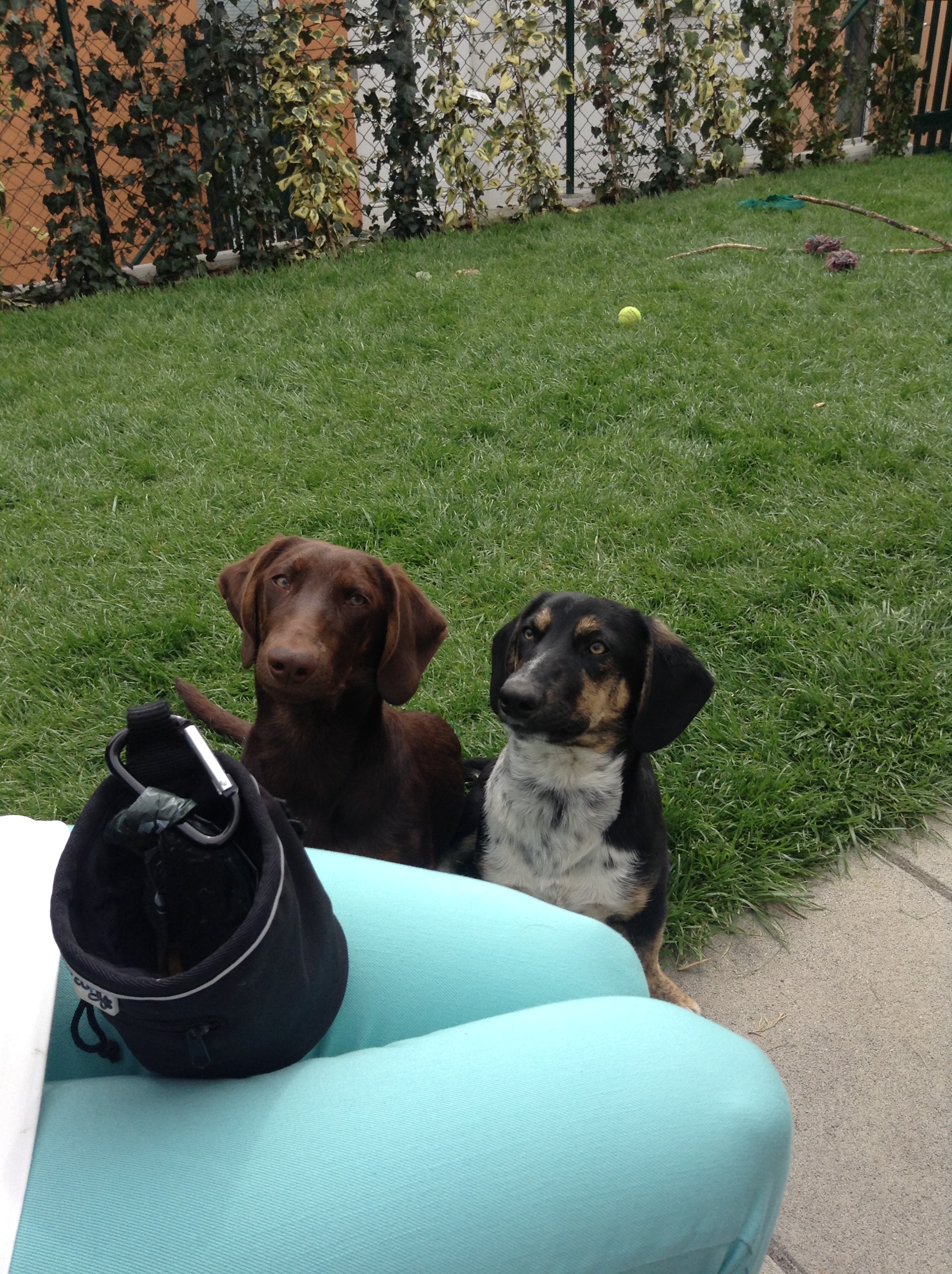 Maxi (vormals Edgar) | Animal Care Austria