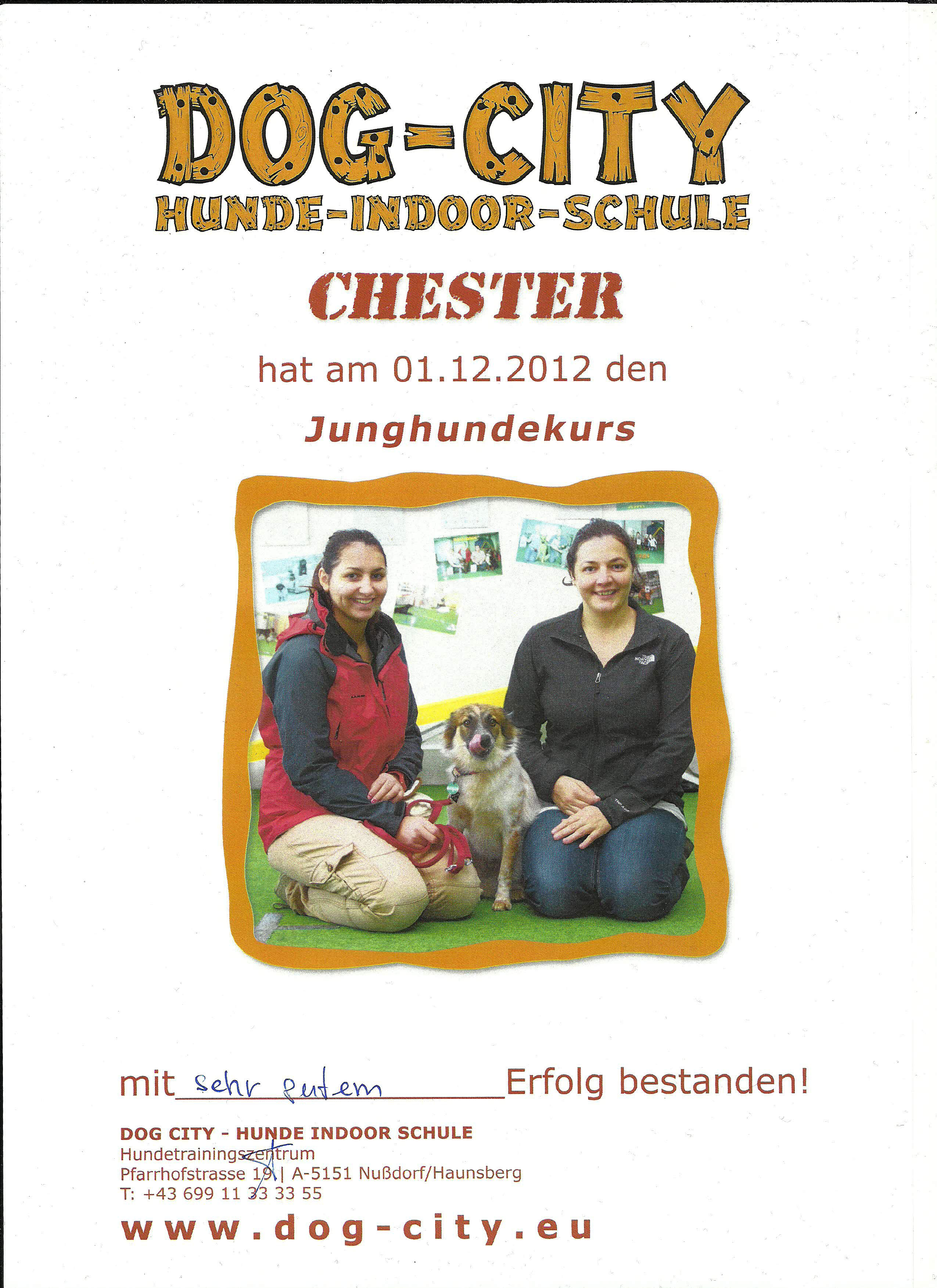 Chester (vormals Puff) | Animal Care Austria