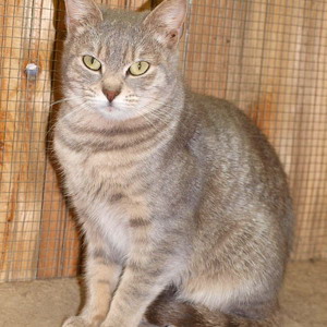 Patricia | Animal Care Austria