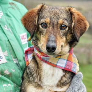 Angie | Animal Care Austria