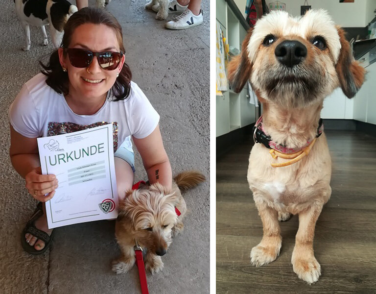 Animal Care Austria - Poppy