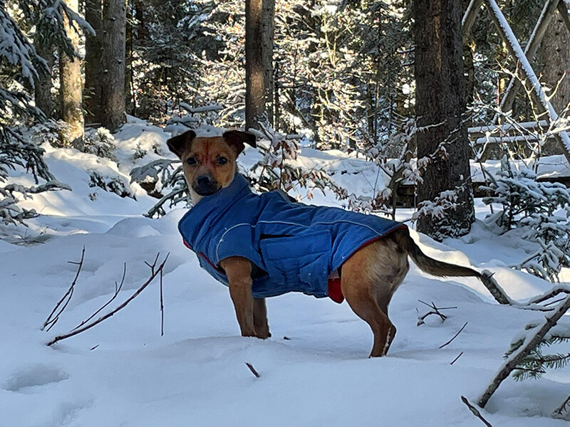 Chiquita | Animal Care Austria