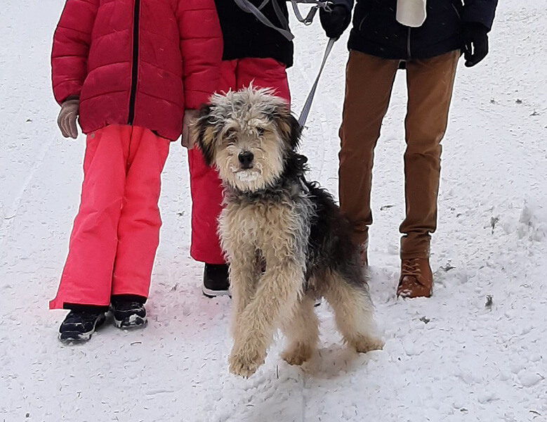 Magnus | Animal Care Austria