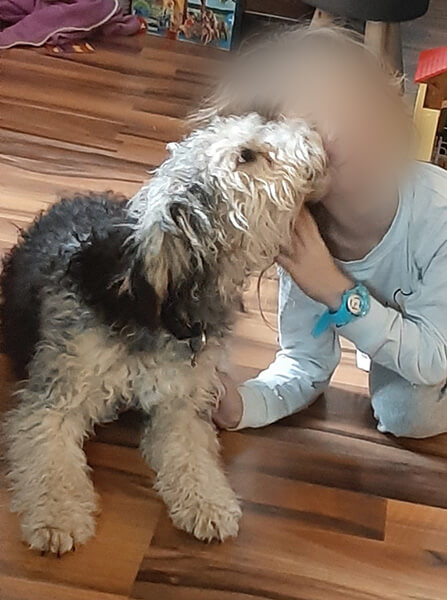 Magnus | Animal Care Austria