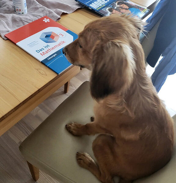 Lotti | Animal Care Austria