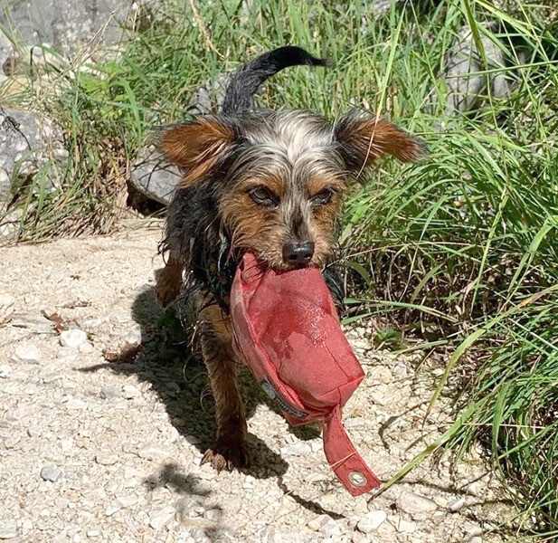 Pucki | Animal Care Austria