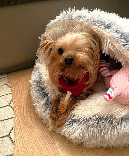 Sunny (vormals Sally) | Animal Care Austria