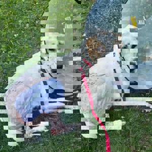 Doris | Animal Care Austria