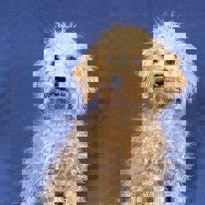 Animal Care Austria - Elke