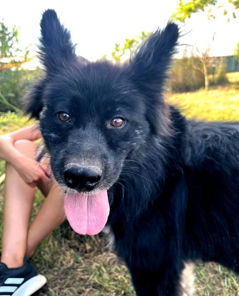 Animal Care Austria - Onyx